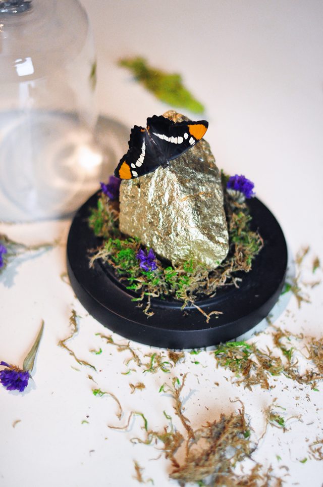 DIY Lucky Butterfly Dome Cloche Display