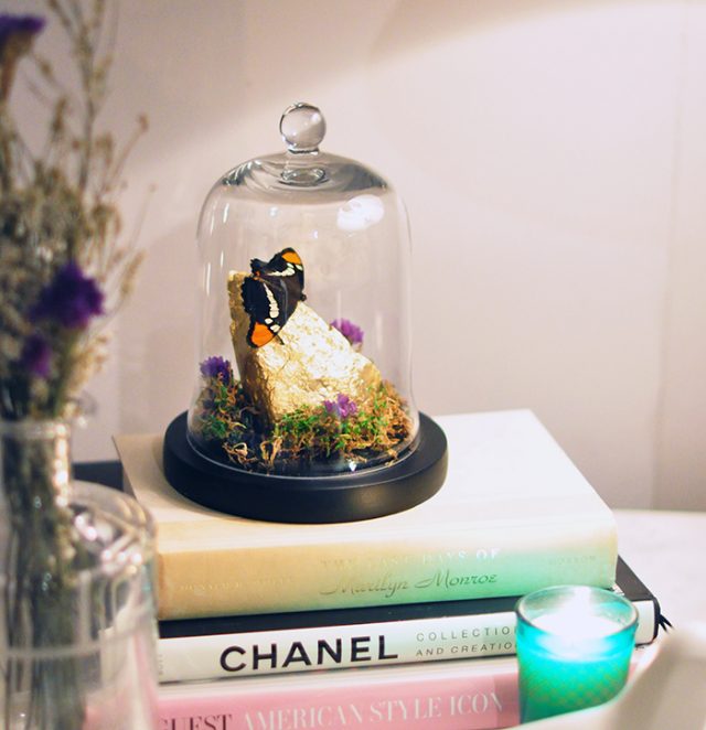 DIY Lucky Butterfly Dome Cloche Display