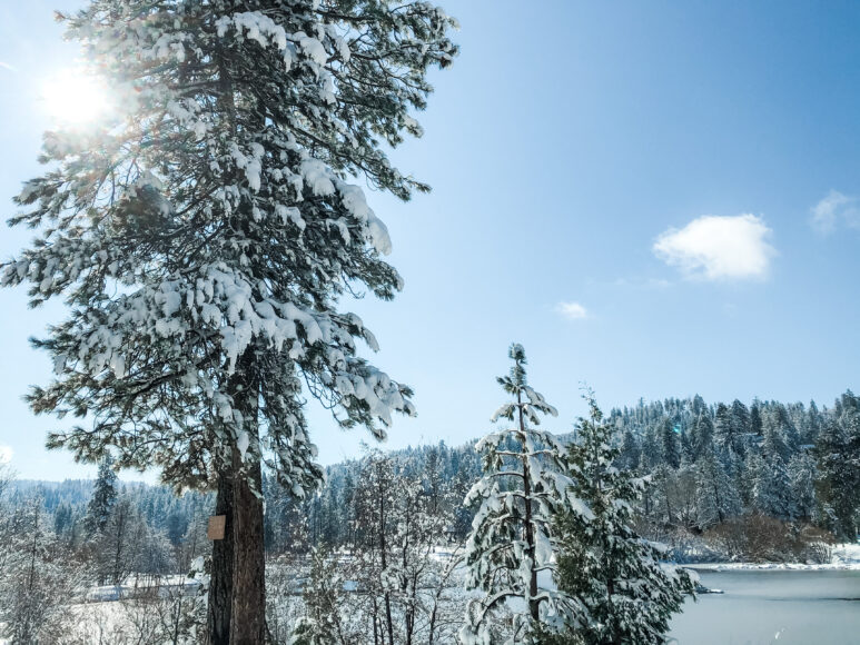 Short Winter Boots // A Round-up of Stylish Low-Profile Snow Boots