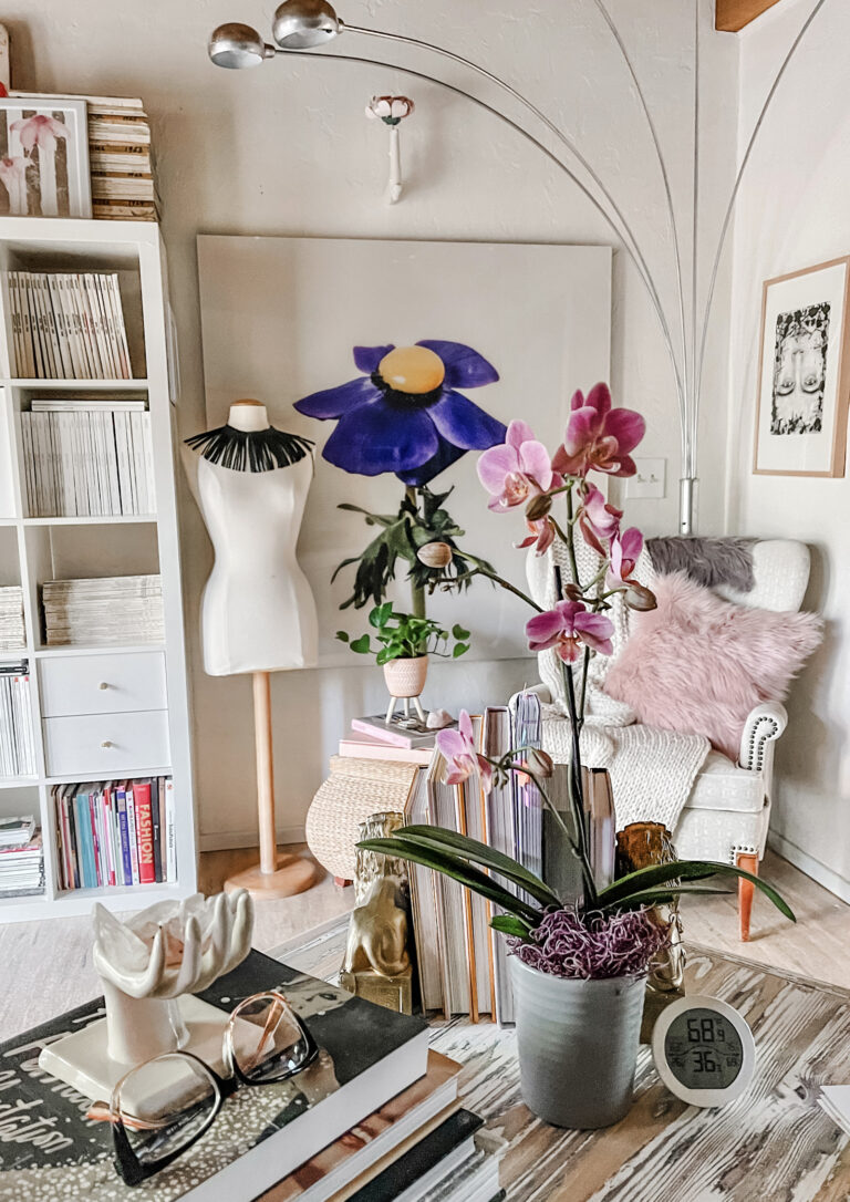 How Low Humidity at Le Dome House Turned Me into a Plant Lady