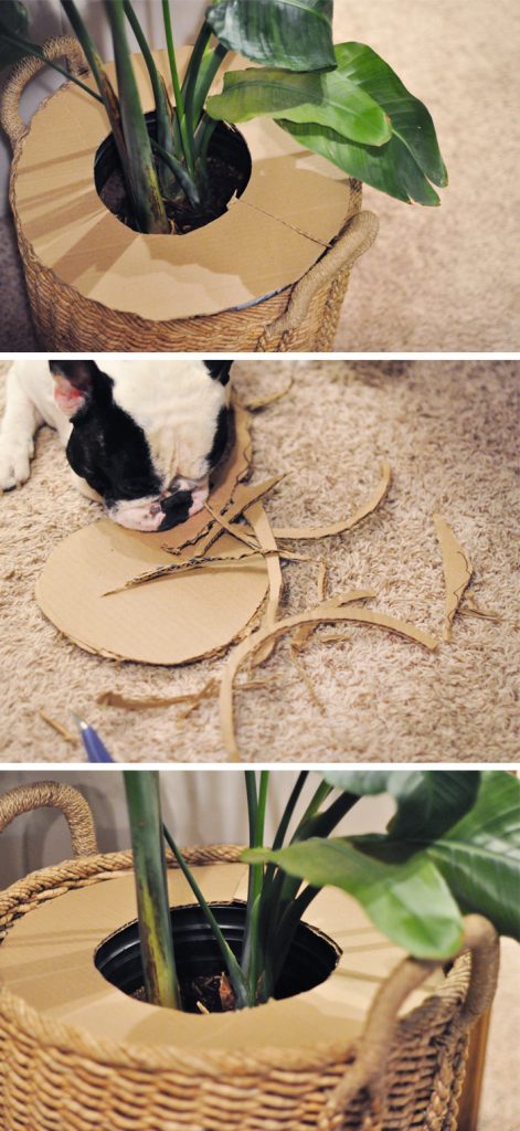 DIY Moss Potted Plant Decorative Cover for Basket