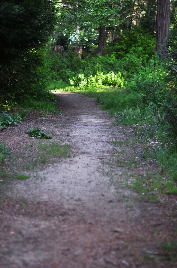 Boho Hair Accessories // DIY Floating Flowers
