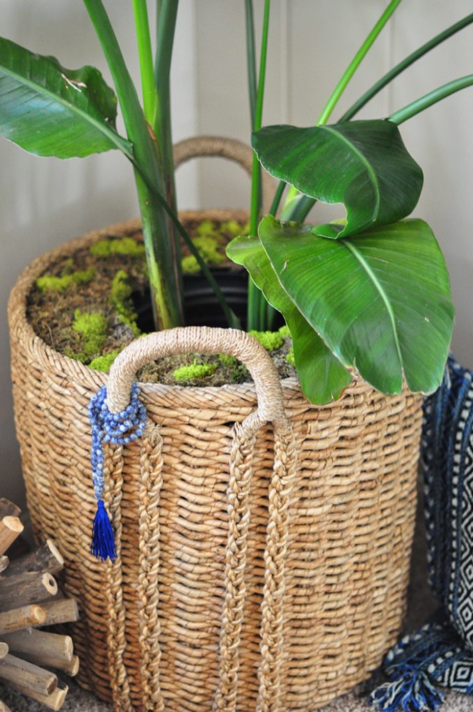 DIY Moss Potted Plant Decorative Cover for Basket