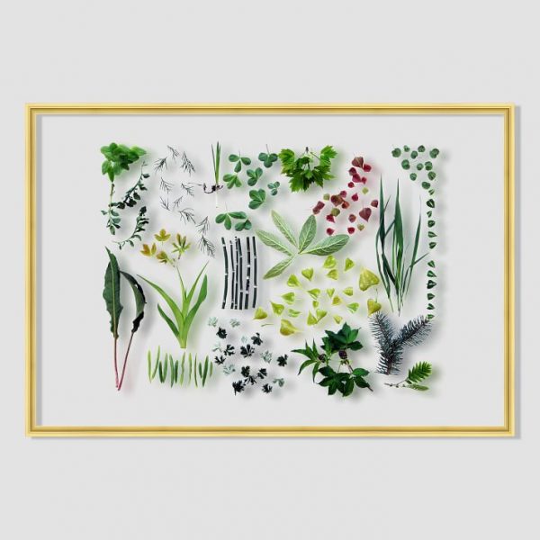 Framed Floating Botanicals & Feathers // DIY Inspo