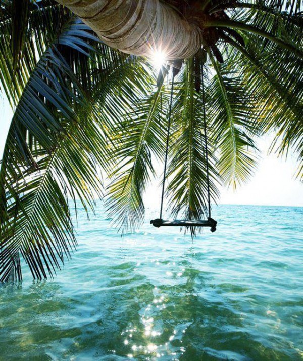 Summer Dreams | Swings from Trees over Water